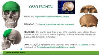 Osteologia do Neurocrâneo - Anatomia 1 - 2025.pdf
