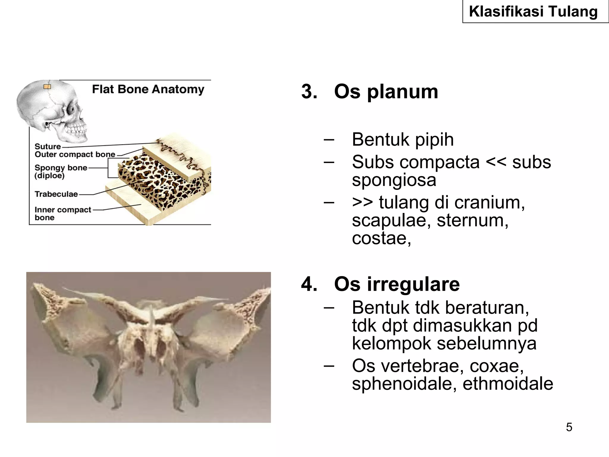 Osteologidapsik 140715020023-phpapp01 | PPT
