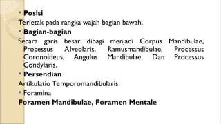 OSTEOLOGI MANDIBULA for dental nurse.ppt