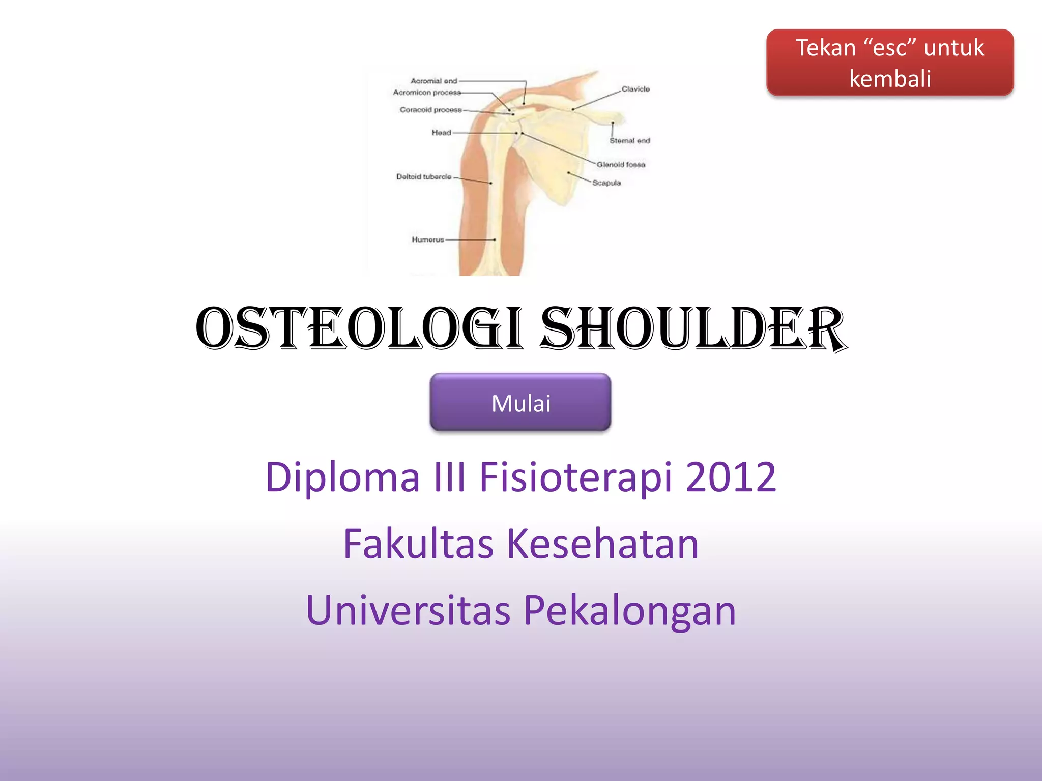 Osteologi shoulder | PPT