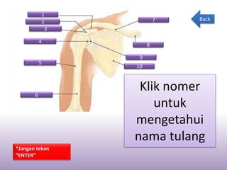Osteologi shoulder | PPSX