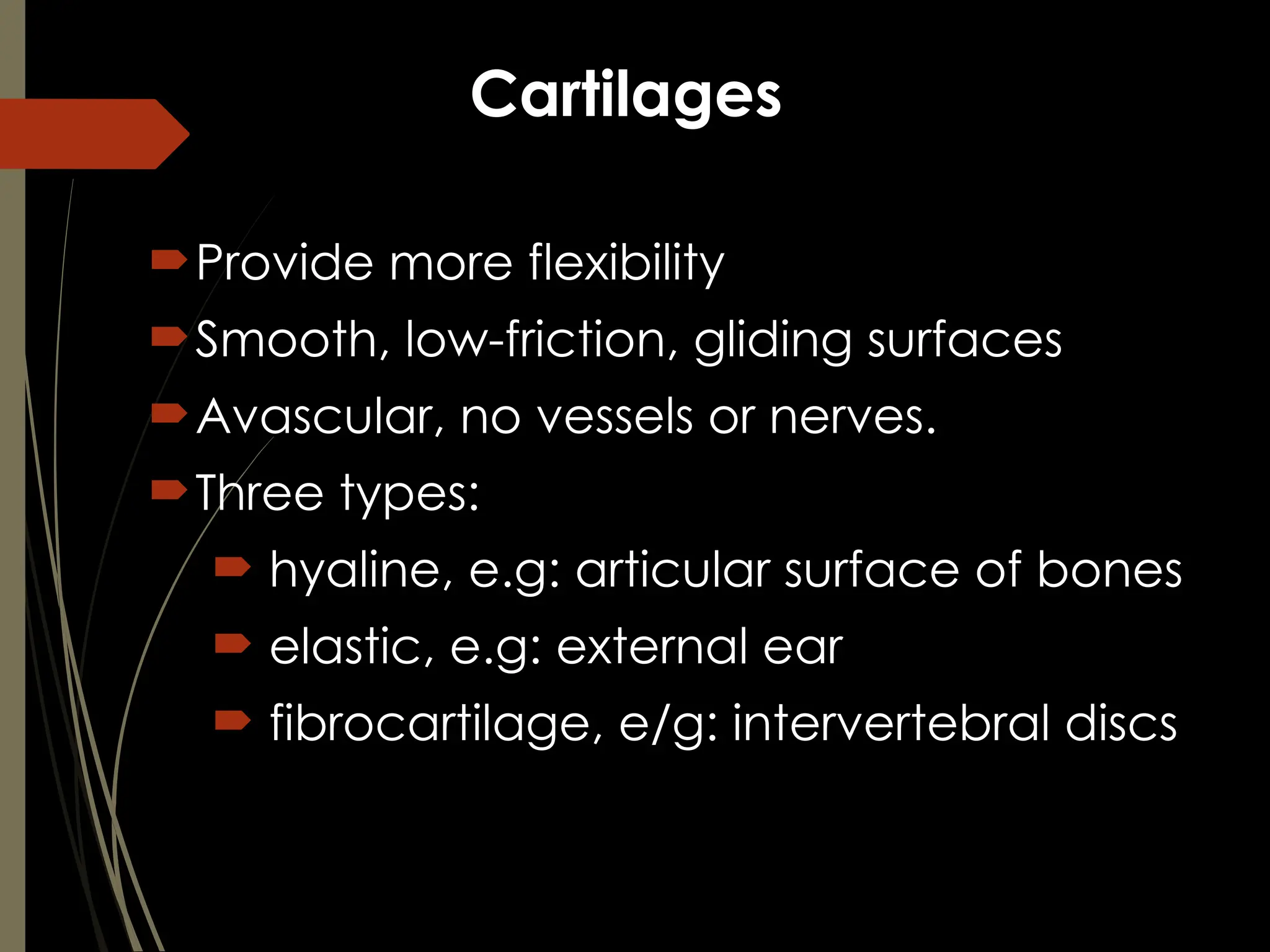 Osteologi Sup-Inf.ppt,EXPLORE ANATOMY OF SUPERIOR | PPT