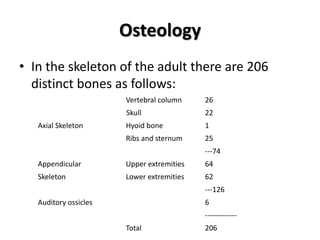 Osteology | PDF
