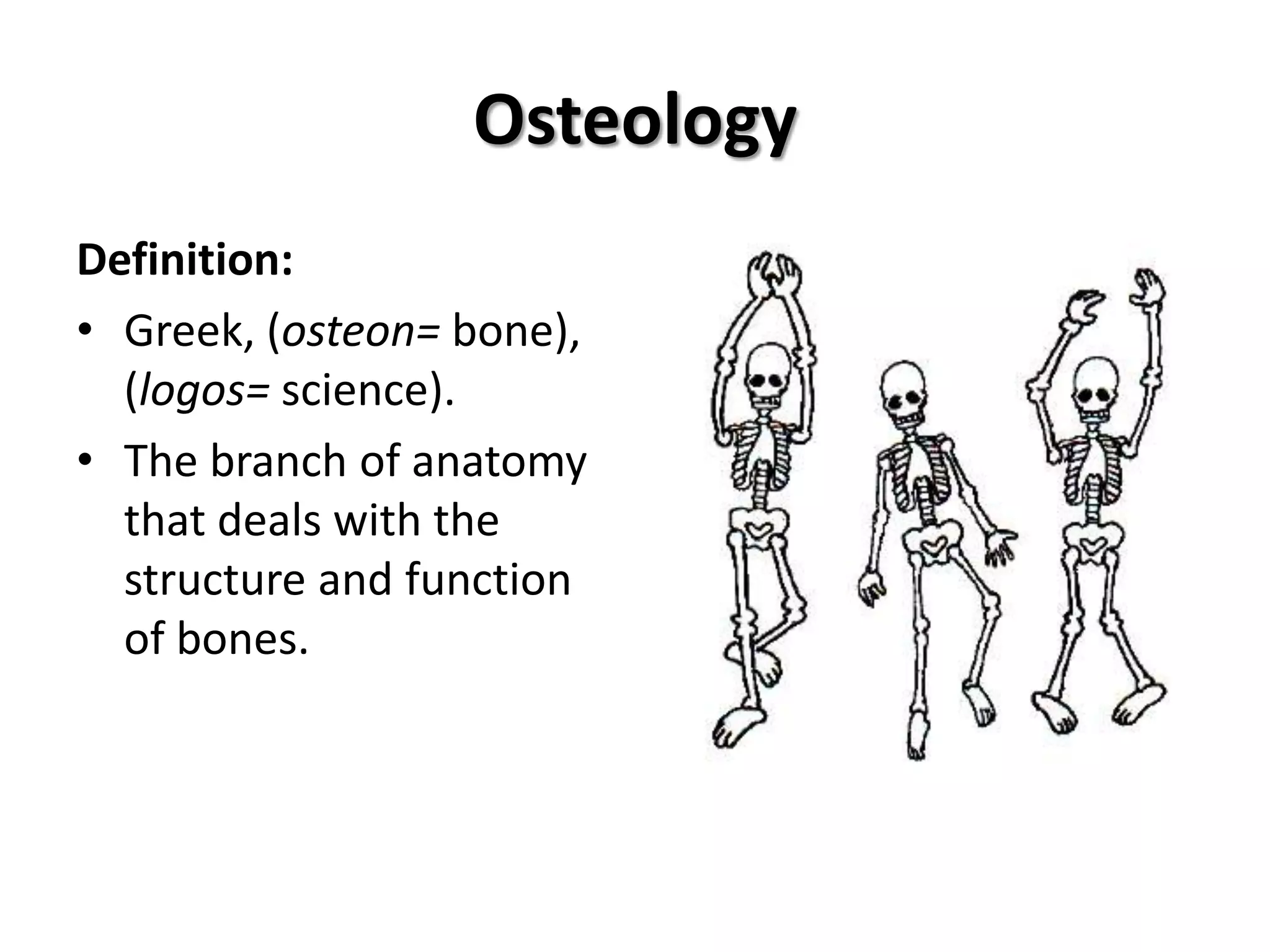 Osteology | PPTX