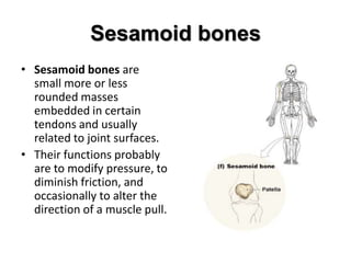 Osteology | PPTX