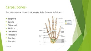 INTRODUCTION TO BONE, ITS TYPES AND OSTEOLOGY. | PPTX