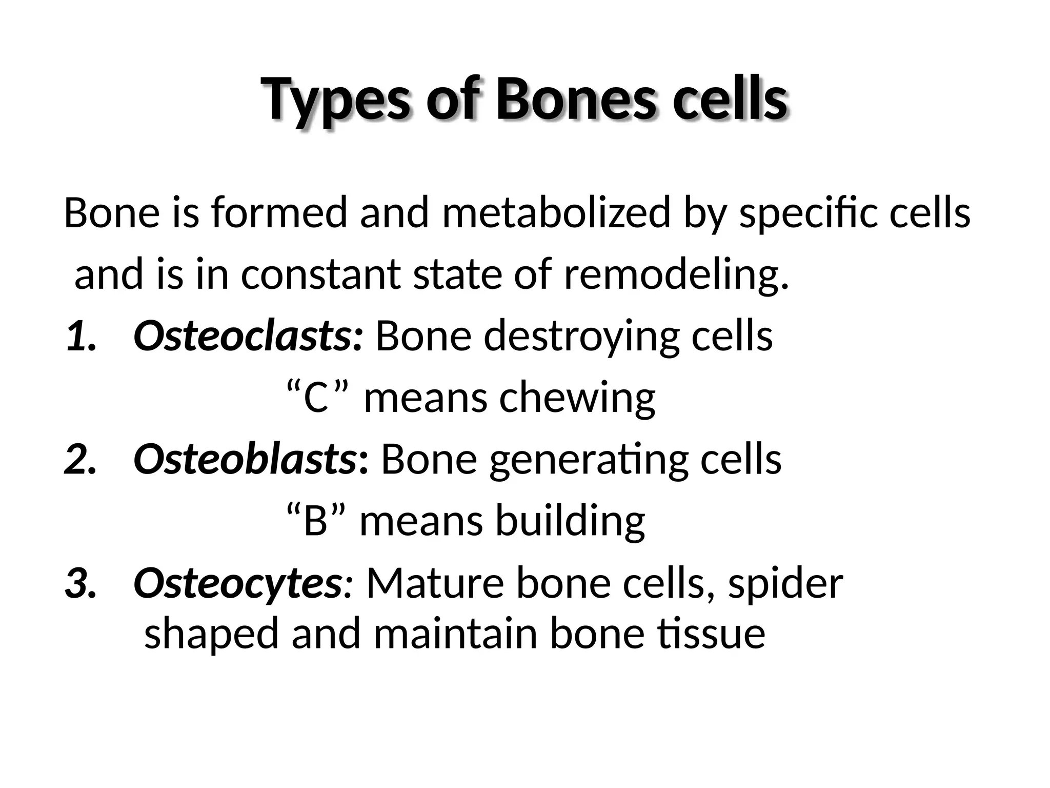 bones human bone bones of osteology.pptx