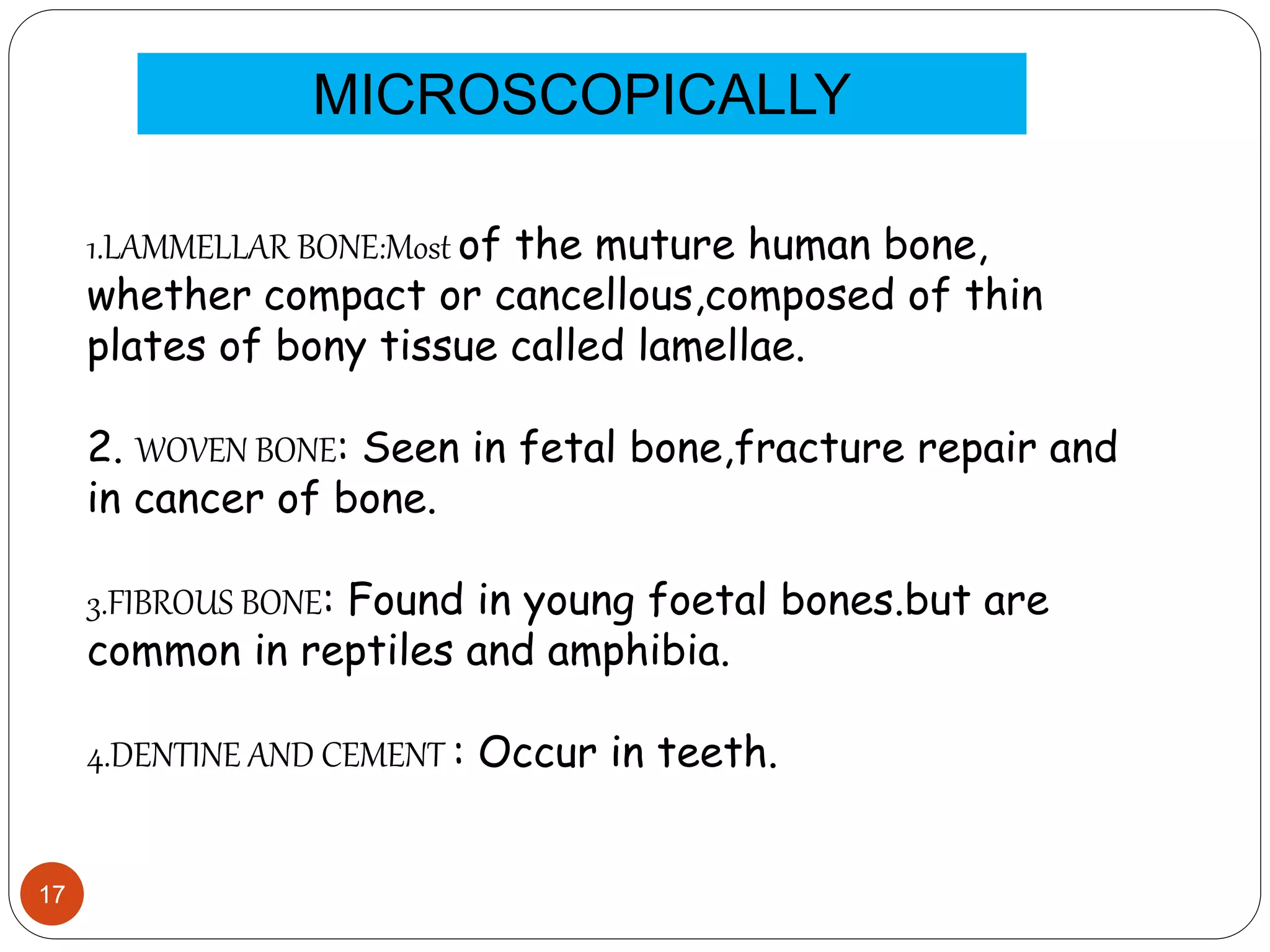 Osteology and arthology by zainab iqbal | PPTX