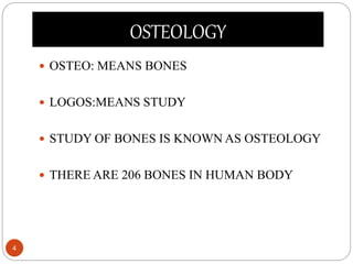 Osteology and arthology by zainab iqbal | PPTX