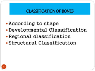 Osteology and arthology by zainab iqbal | PPTX