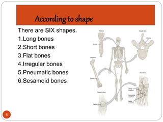 Osteology and arthology by zainab iqbal | PPTX