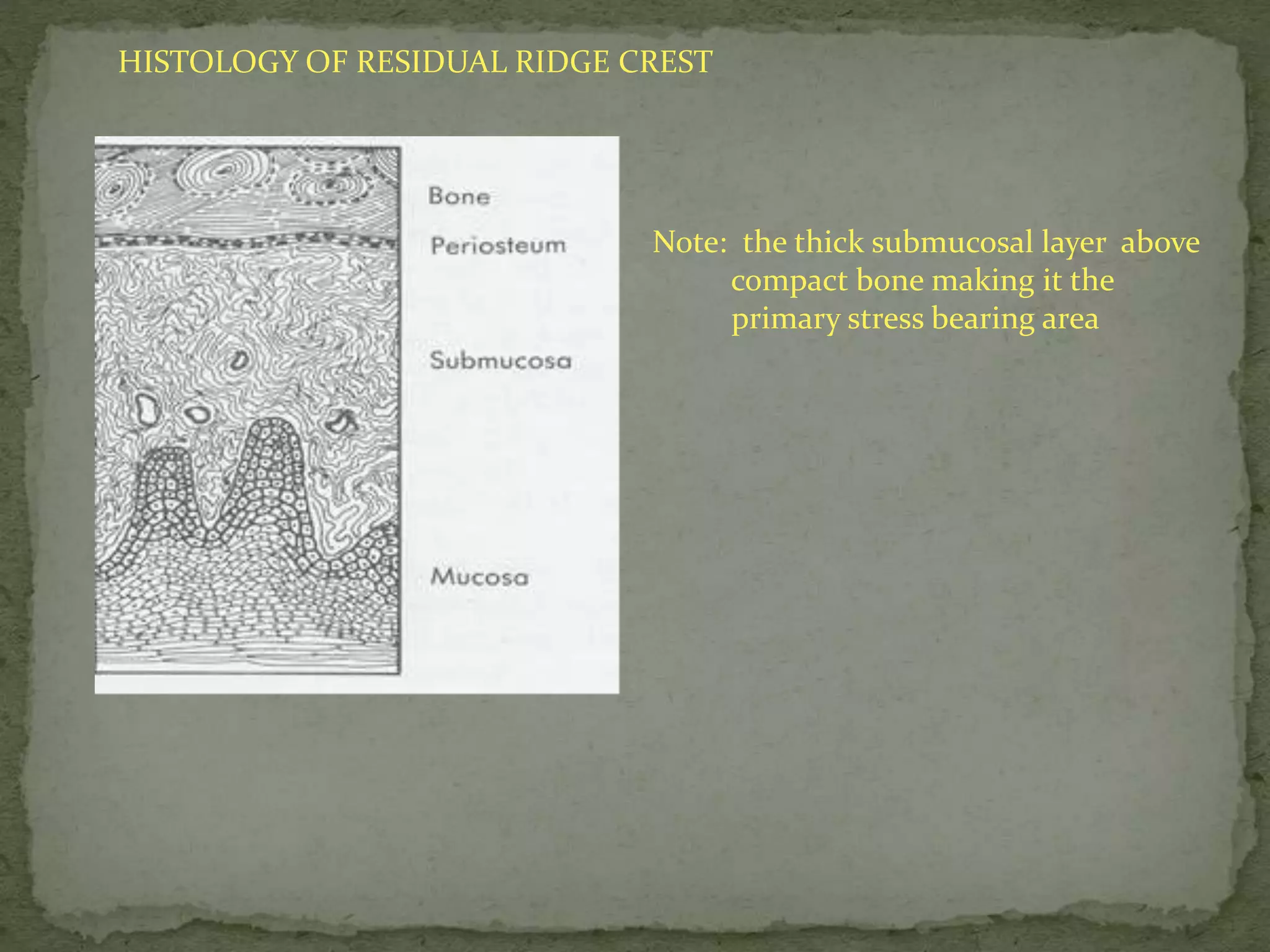 Osteology and mucose membrane of maxi & mandible | PPTX