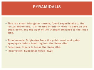 osteologyofabdomen-200315093235 best pdf of mbbs students pdf | PPT