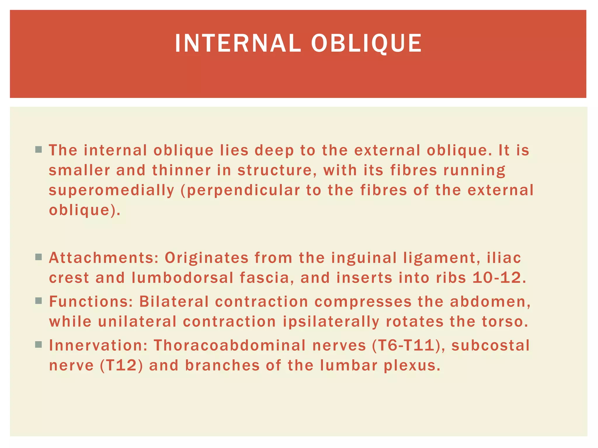 Osteology of abdomen | PPTX