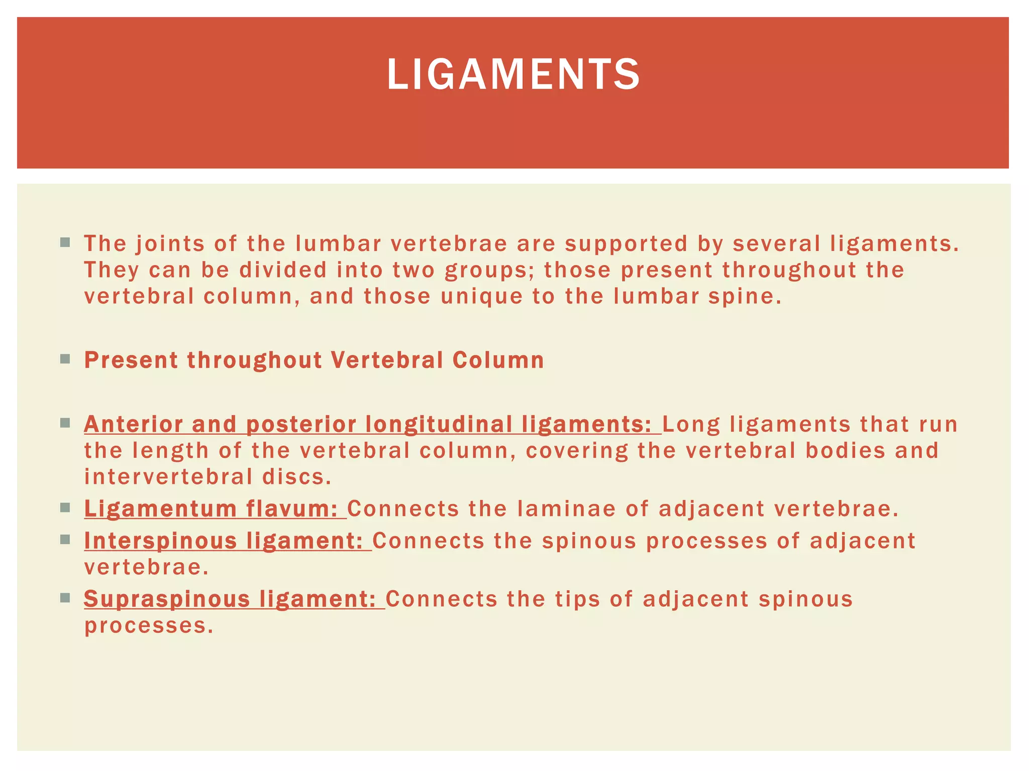Osteology of abdomen | PPTX