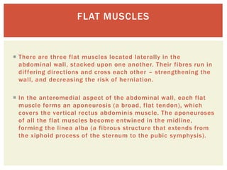 Osteology of abdomen | PPTX