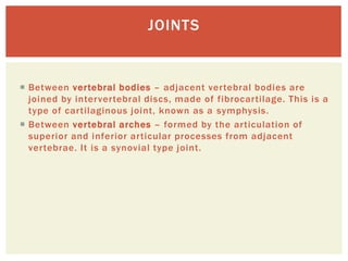 Osteology of abdomen | PPTX