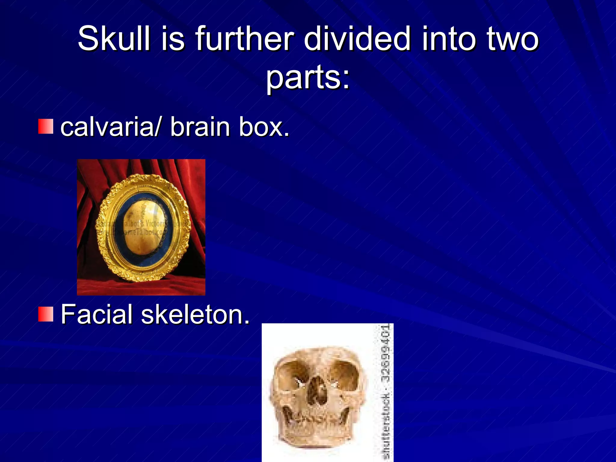 Osteology of head and face | PPT