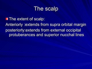 Osteology of head and face | PPT
