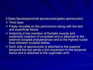 Osteology of head and face | PPT