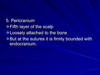 Osteology of head and face | PPT