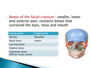 Osteology of head and neck | PPTX