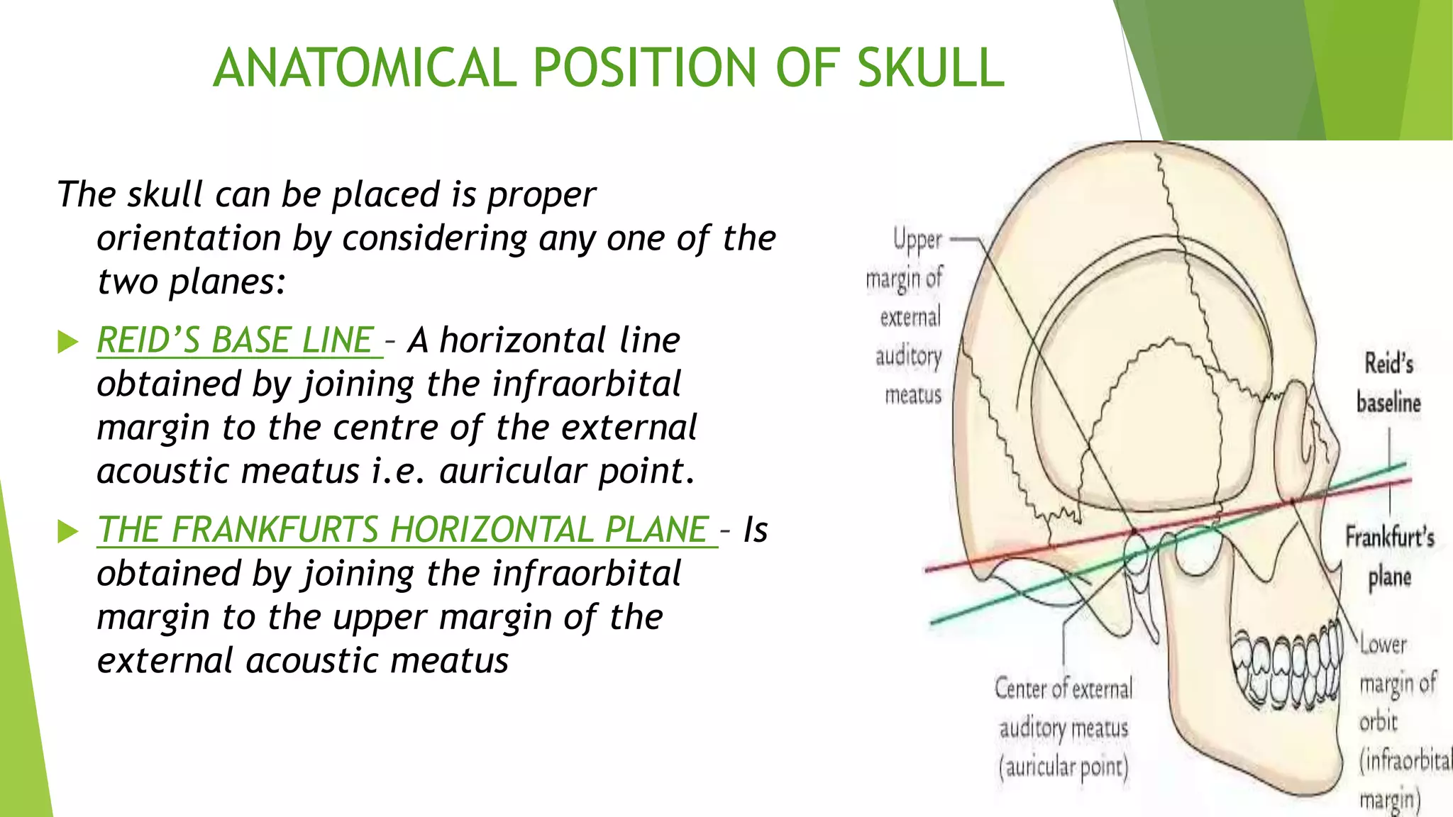 Osteology of head and neck i | PPTX