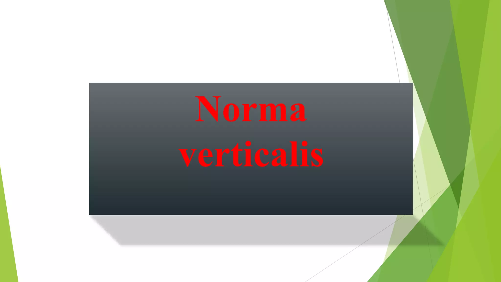 Osteology of head and neck i | PPTX