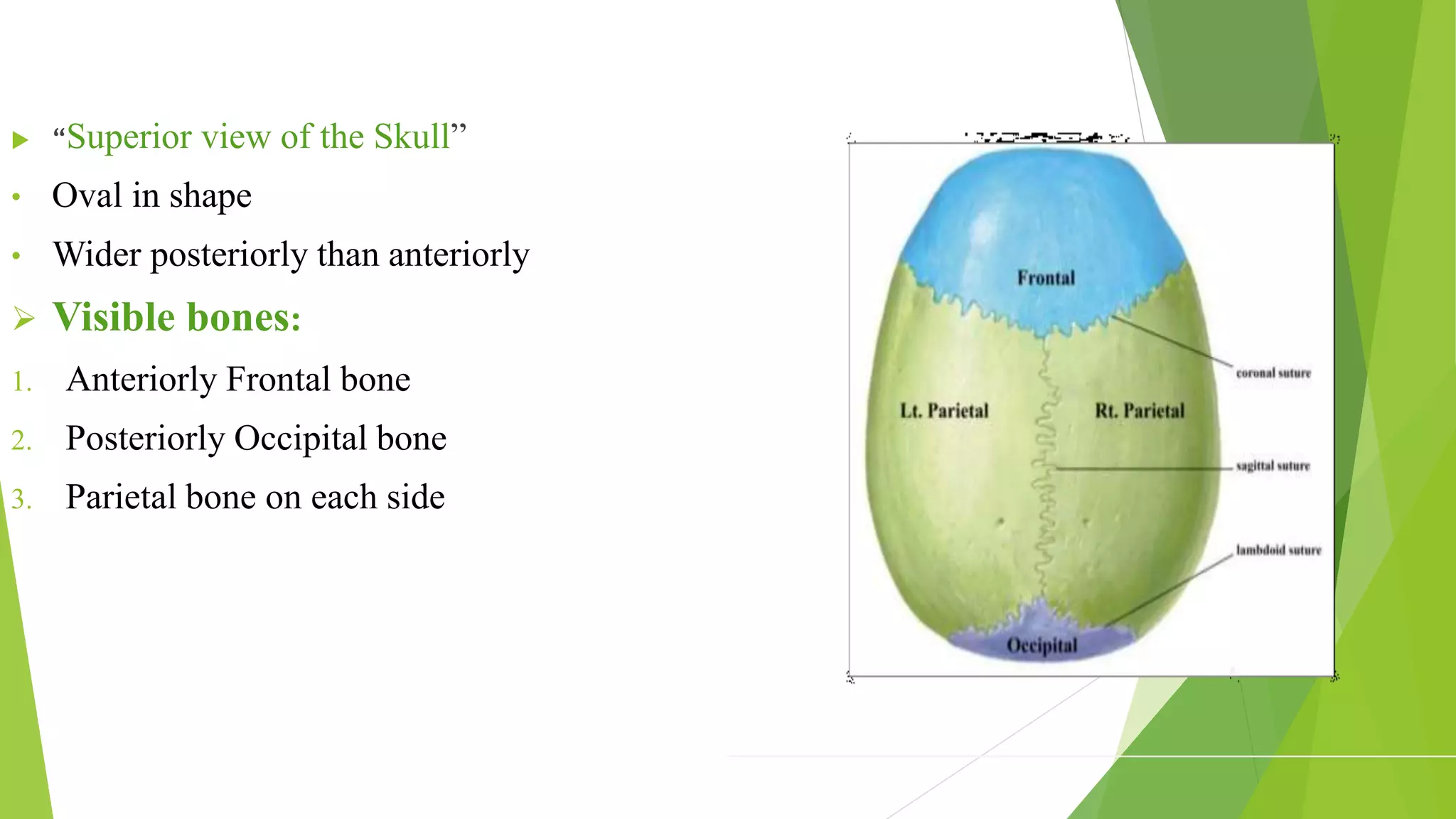 Osteology of head and neck i | PPTX
