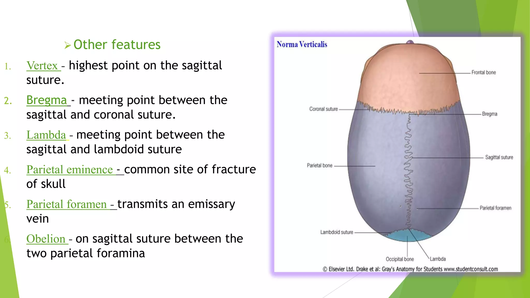 Osteology of head and neck i | PPTX