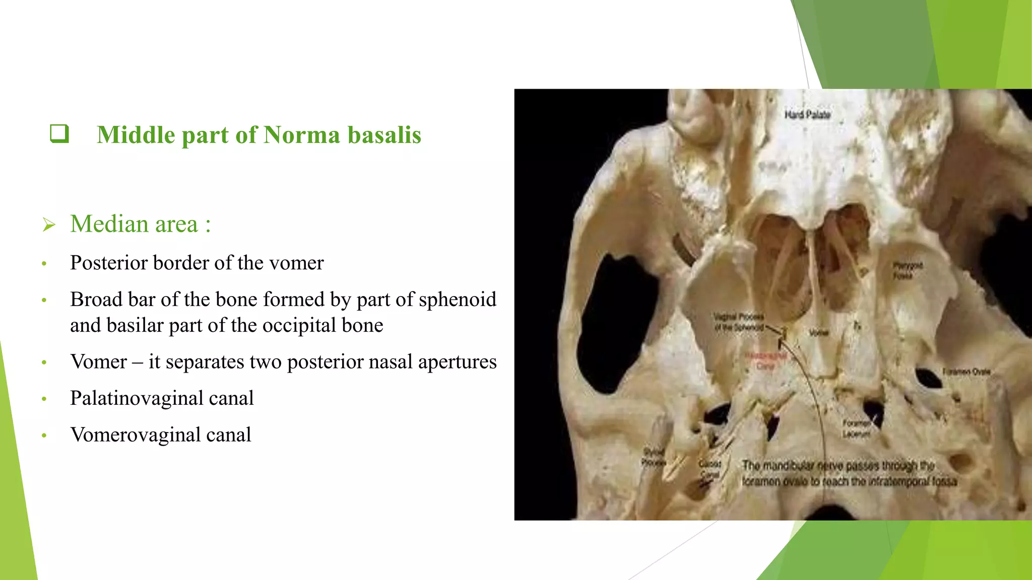 Osteology of head and neck i | PPTX