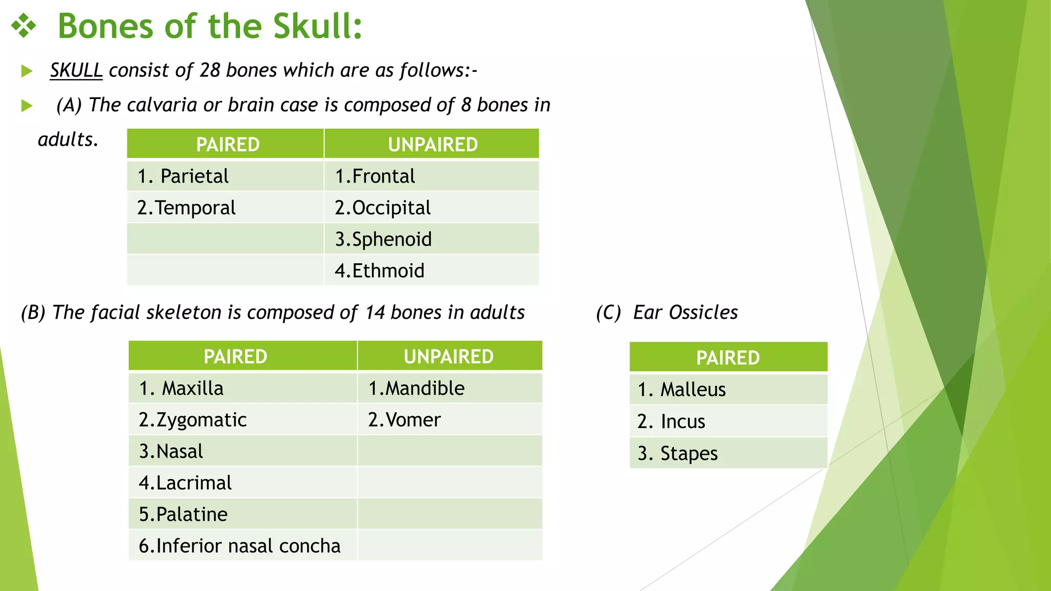 Osteology of head and neck i | PPTX