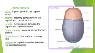Osteology of head and neck i | PPTX