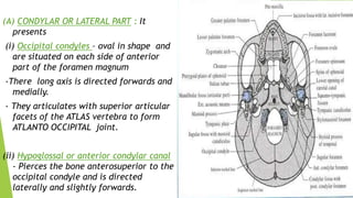 Osteology of head and neck i | PPTX