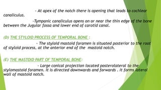 Osteology of head and neck i | PPTX
