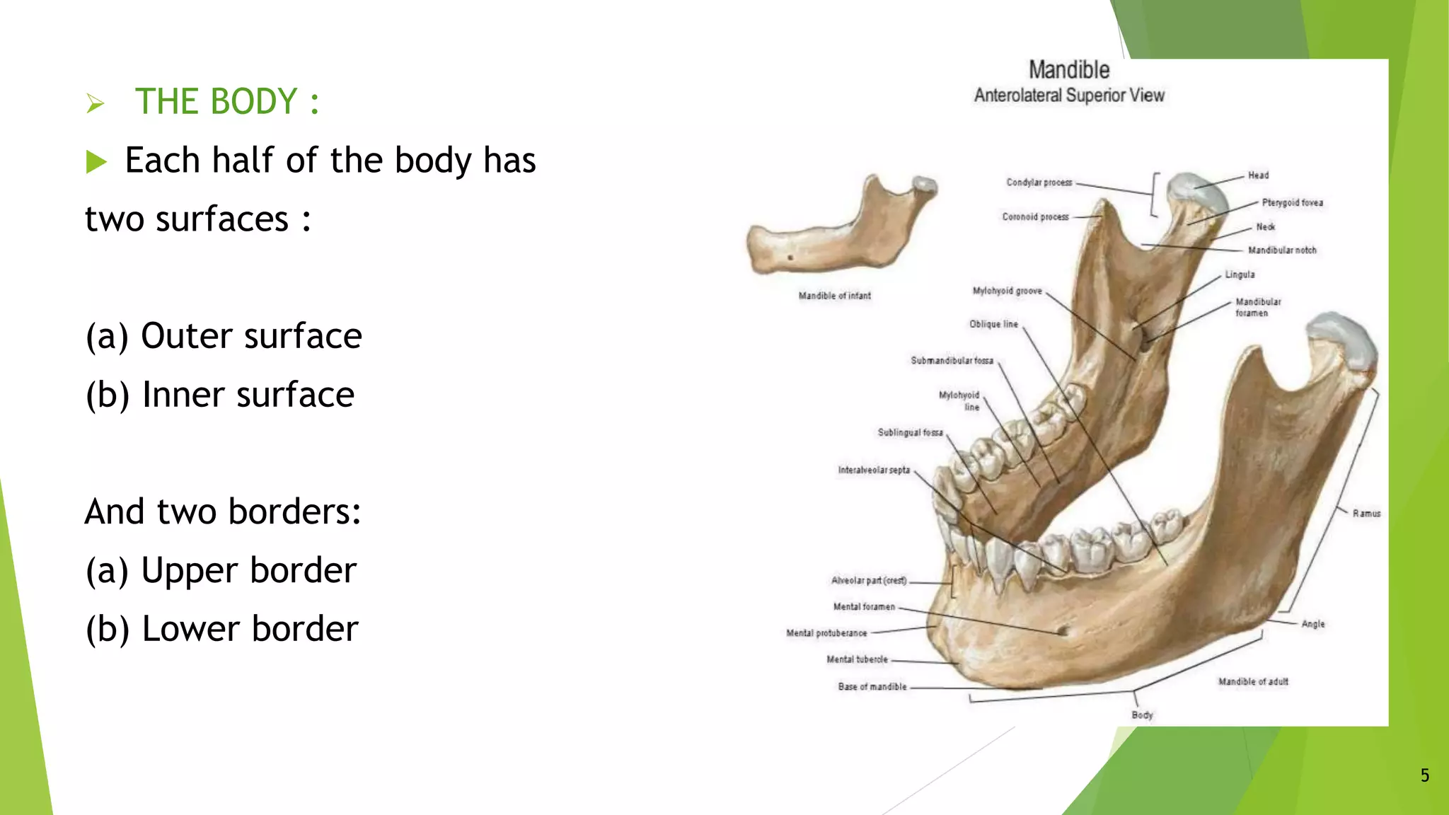 Osteology of head & neck ii | PPTX