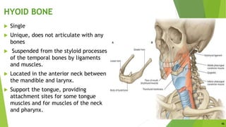 Osteology of head & neck ii | PPTX