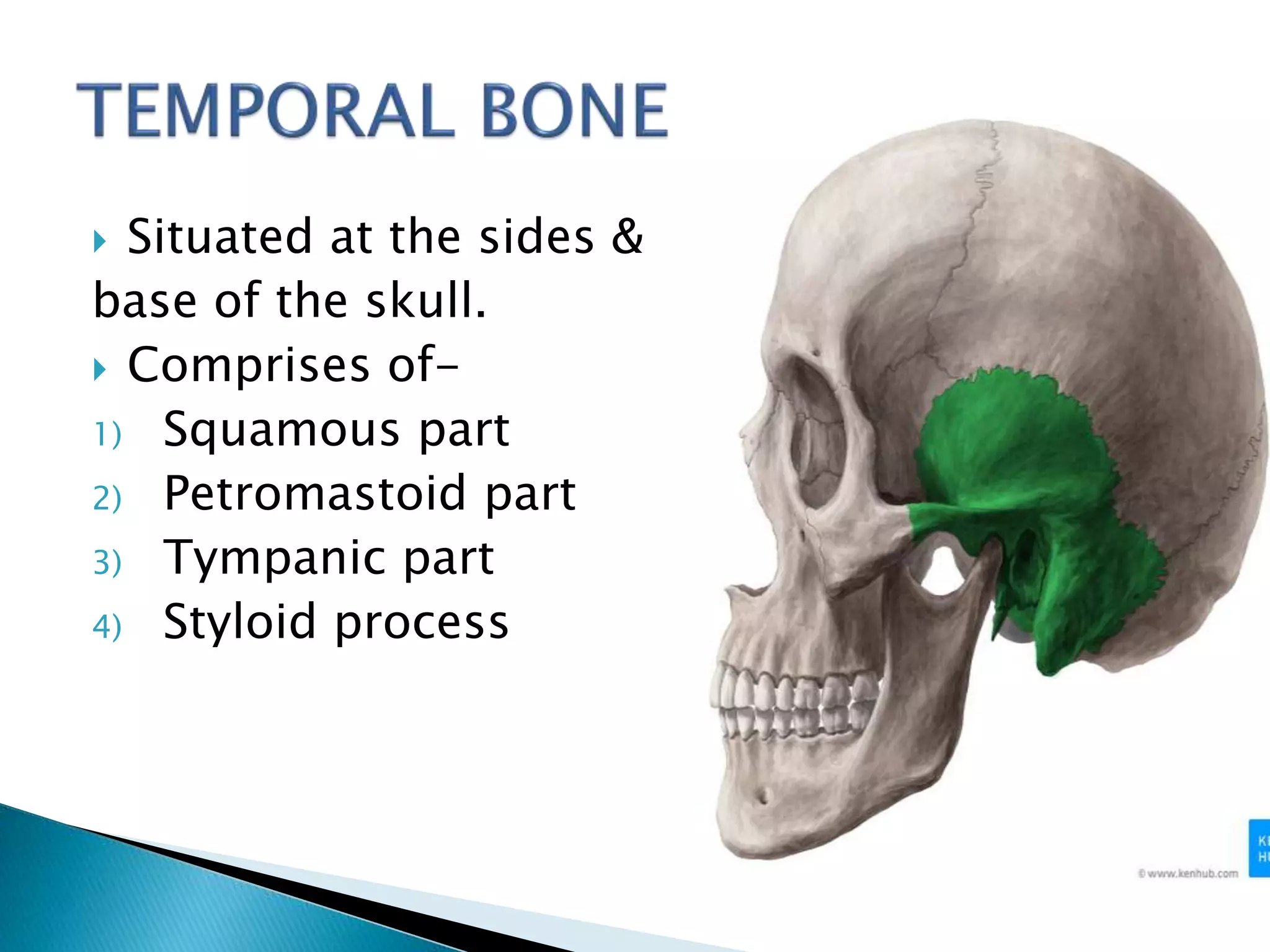 Osteology of head n neck ppt 1 | PPTX