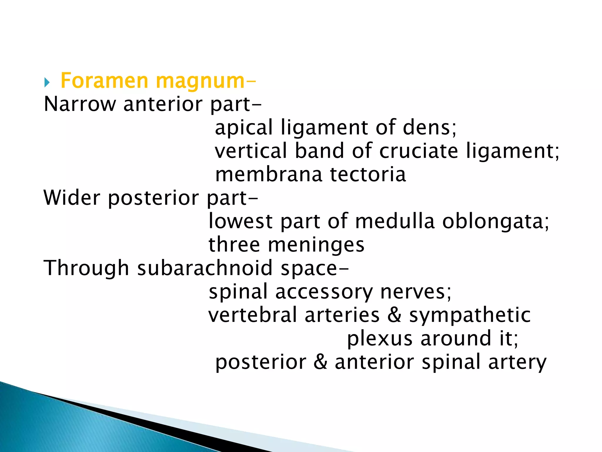Osteology of head n neck ppt 1 | PPTX