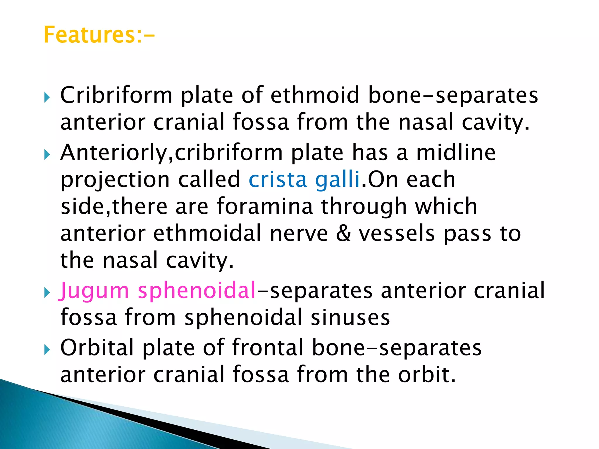 Osteology of head n neck ppt 1 | PPTX