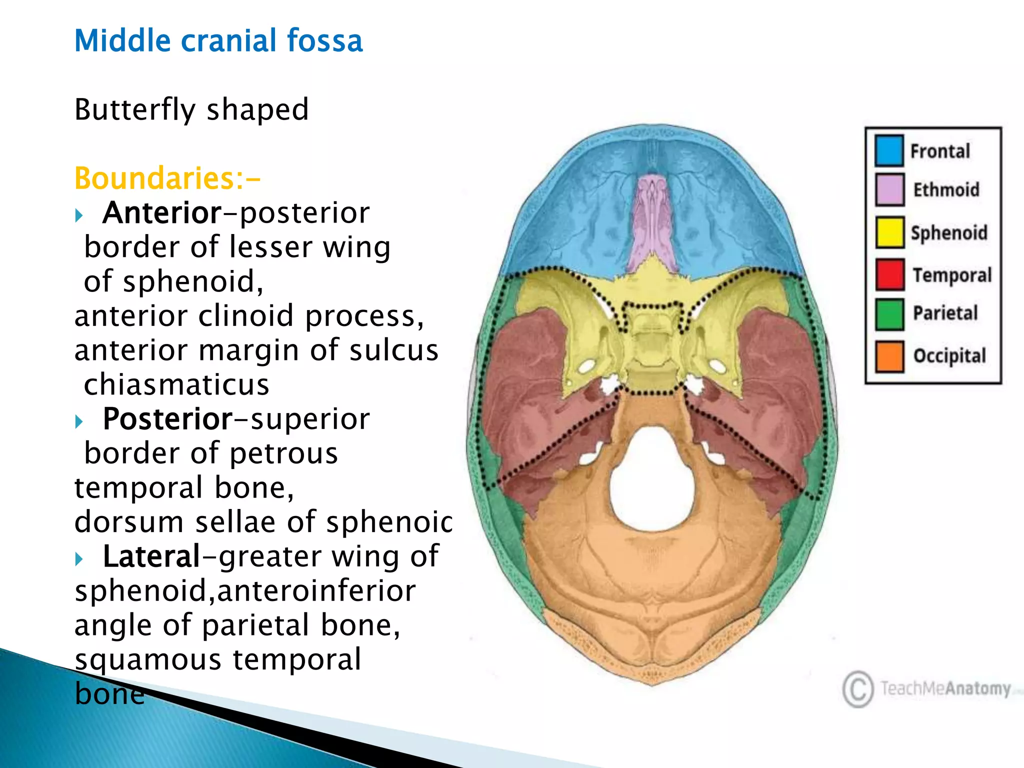 Osteology of head n neck ppt 1 | PPTX