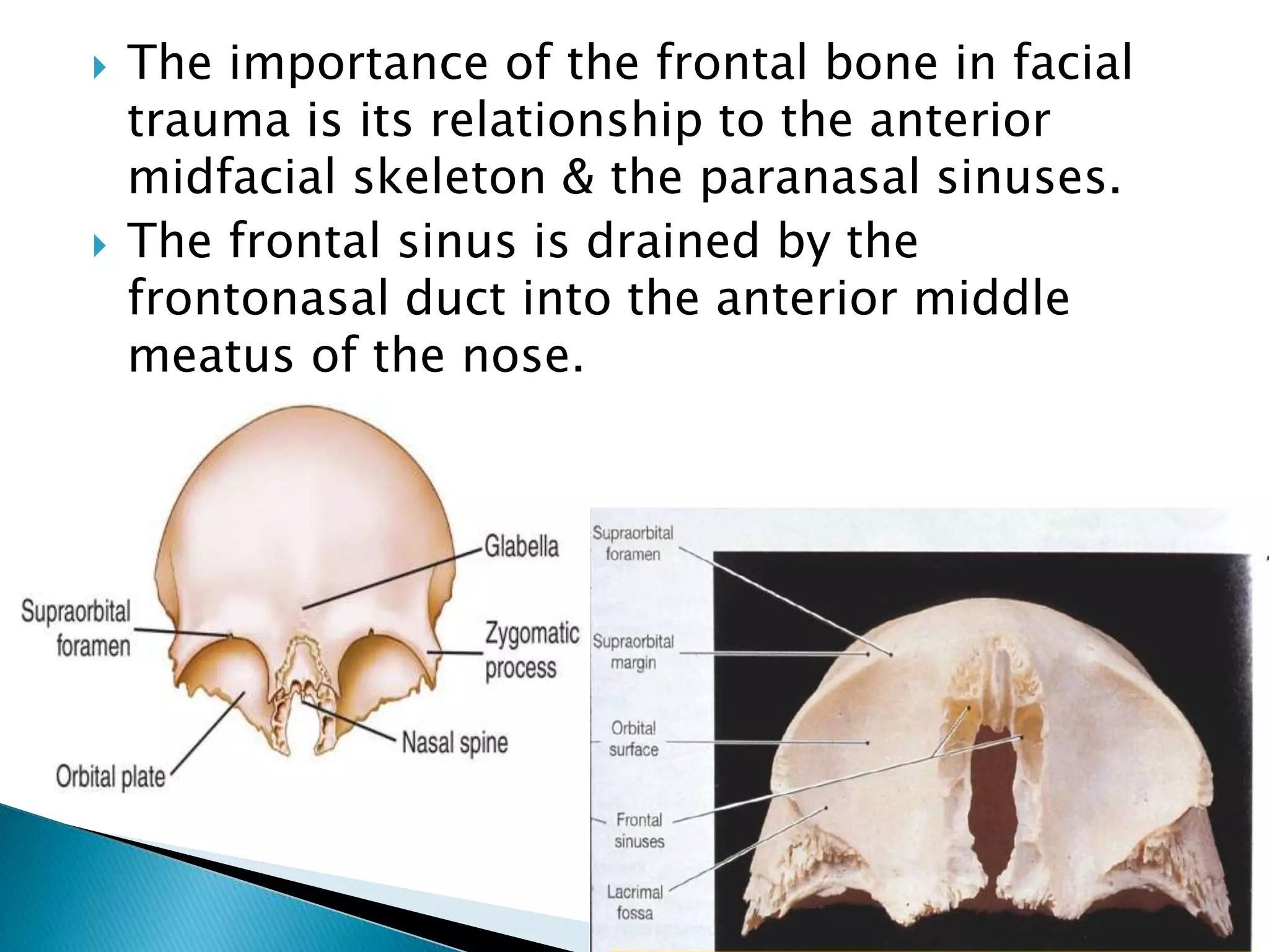 Osteology of head n neck ppt 1 | PPTX