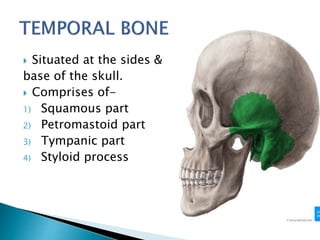 Osteology of head n neck ppt 1 | PPTX