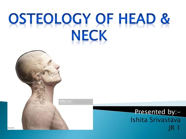 Osteology Of Head N Neck Ppt 1 Ppt