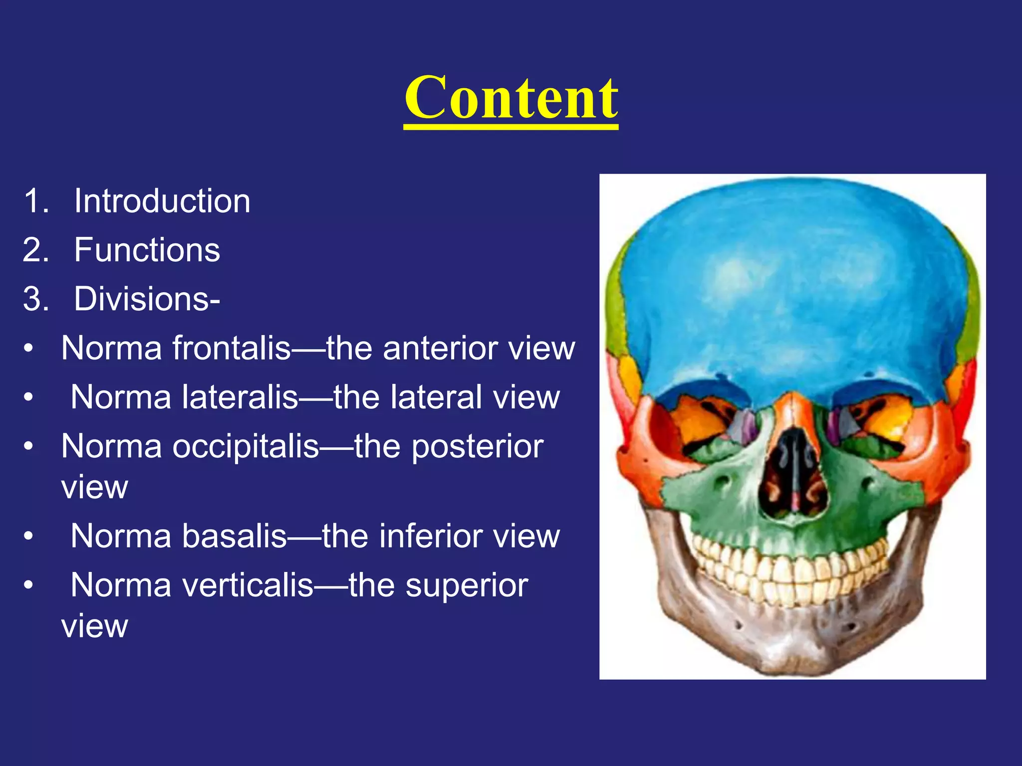 Osteology of Human Skull.pptx