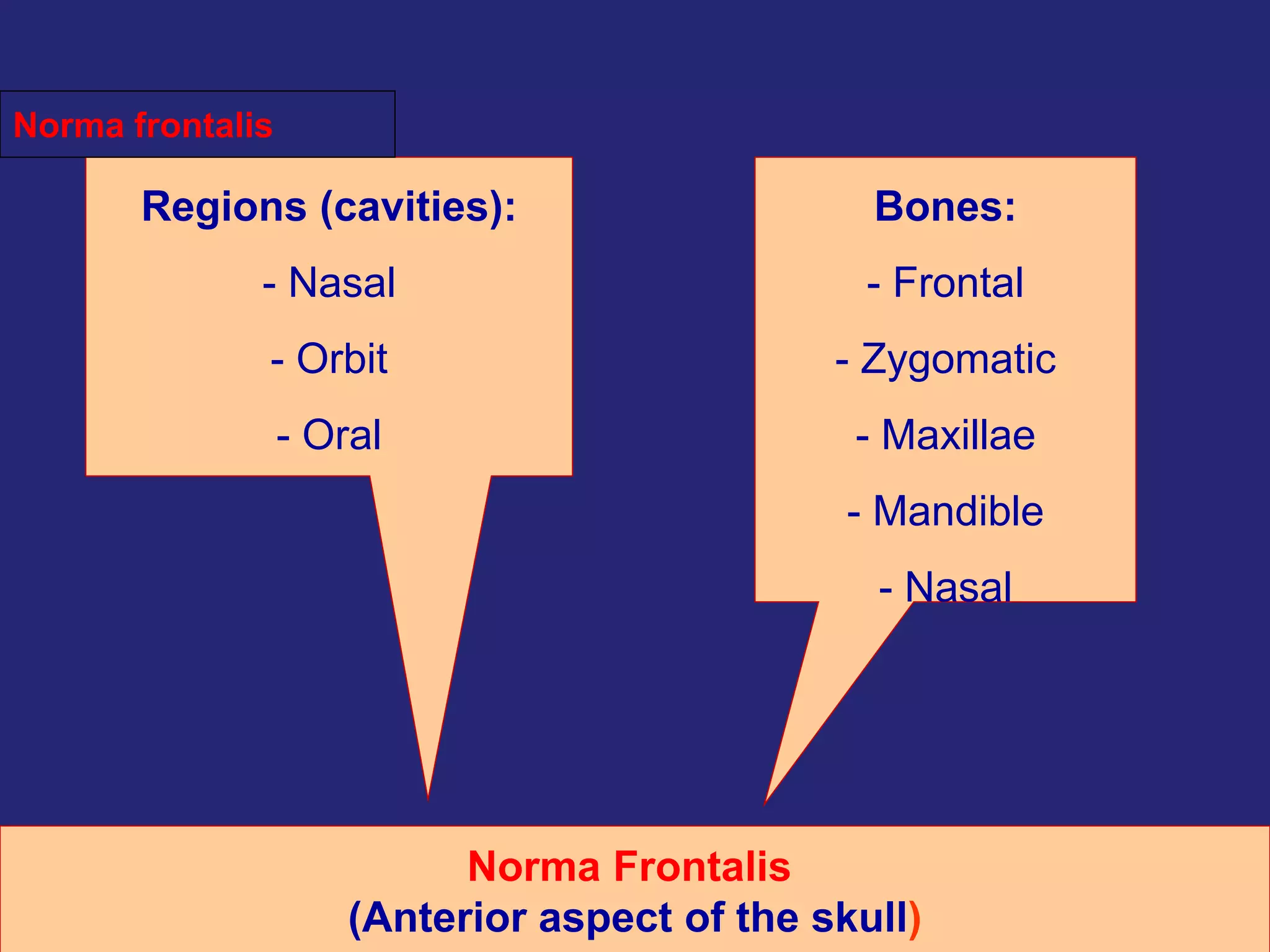 Osteology of Human Skull.pptx