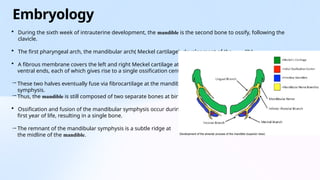 Osteology of Mandible Final.pptx oral Implantology nhi | PPTX