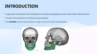 Osteology of Mandible Final.pptx oral Implantology nhi | PPTX