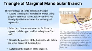 Osteology of Mandible Final.pptx oral Implantology nhi | PPT