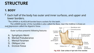 Osteology of Mandible Final.pptx oral Implantology nhi | PPT